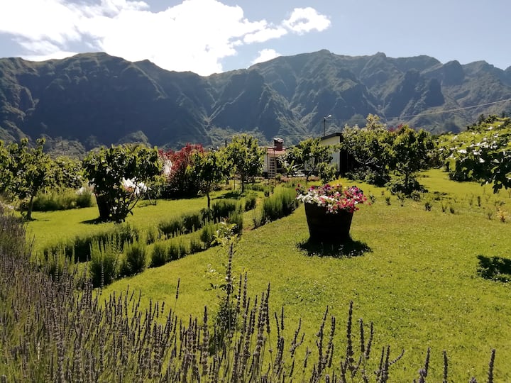 Granny´s Farm Holiday Bungalow C - Sao Vicente, Portugal