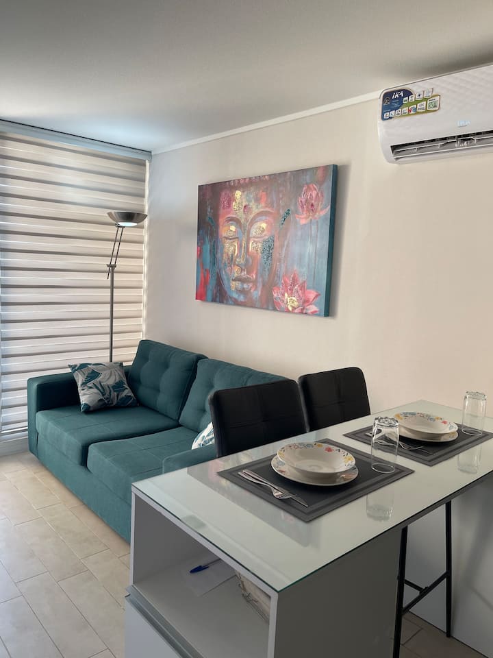 Departamento Moderno Con Piscina, A/c Y Wifi - Santiago