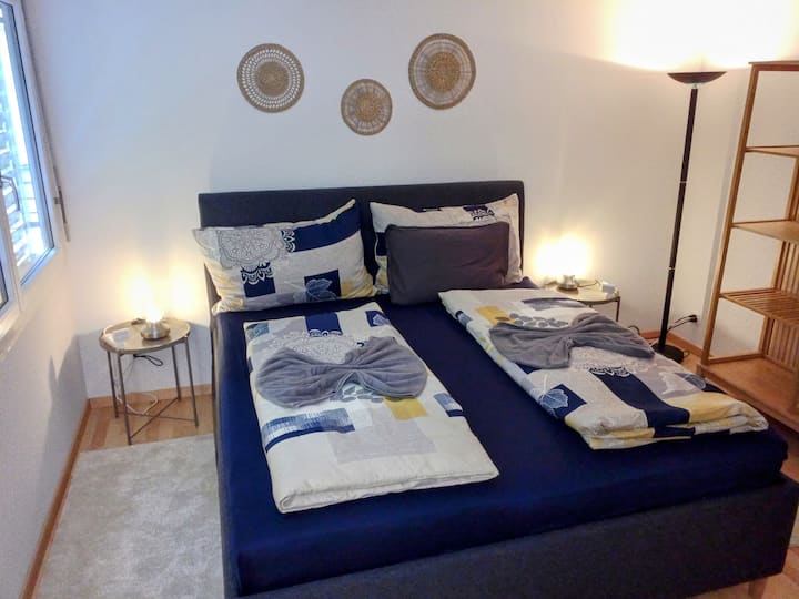 Family Friendly, Free Bus (Reg 0hzz7-i31yis) - Lucerne