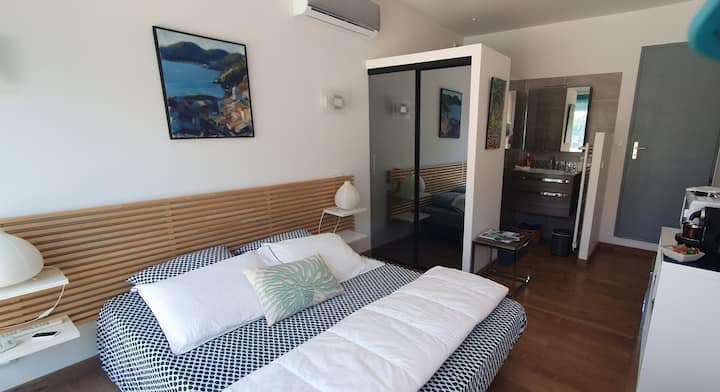 Jolie Chambre D'hôte Le Pradet - Le Pradet