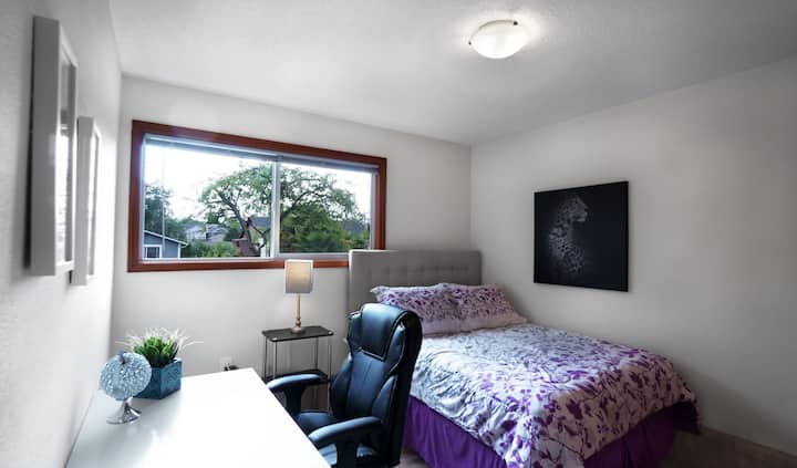 Seattle Bus To Downtown Stay In Beautiful Home - Seattle, WA