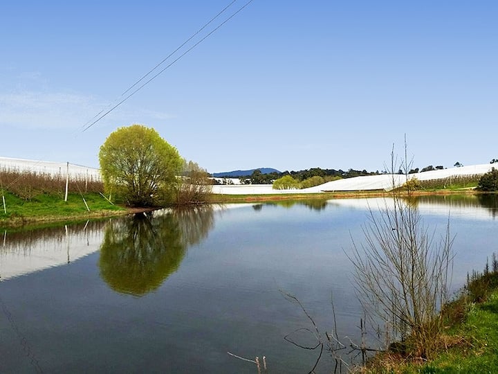 The Orchard House - Yarra Glen
