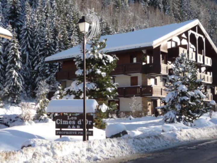 Les Cimes D'or à 350m Des Remontés Mécaniques... - Les Contamines-Montjoie