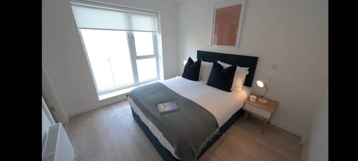 Two Rooms In A New Apartment - Dublin
