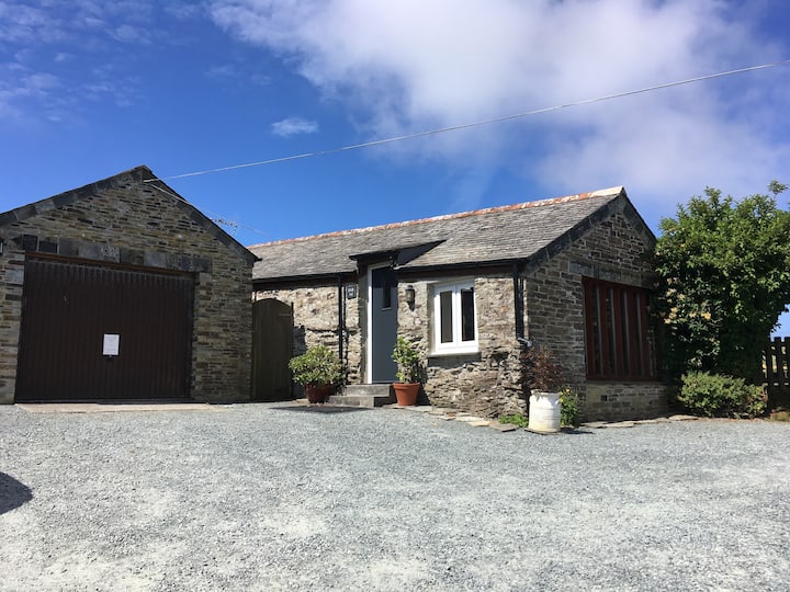 Little Pol - Boscastle