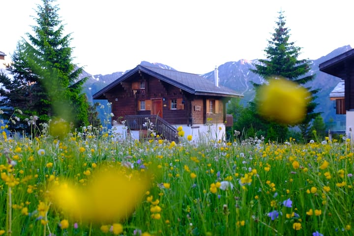 Ganzes Chalet, Rosswald - Belalp