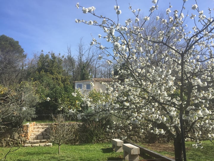 Maison Alegría - Vence