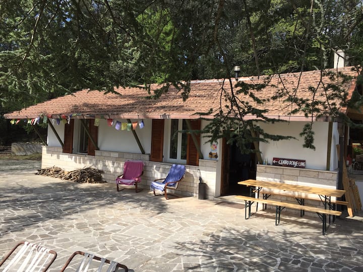 Casa Nel Bosco, A 200 Metri Dalla Riva Del Lago - Rieti
