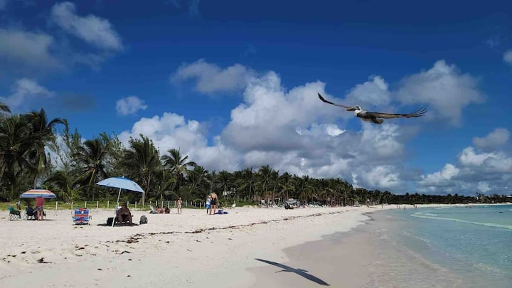 X - Cozumel