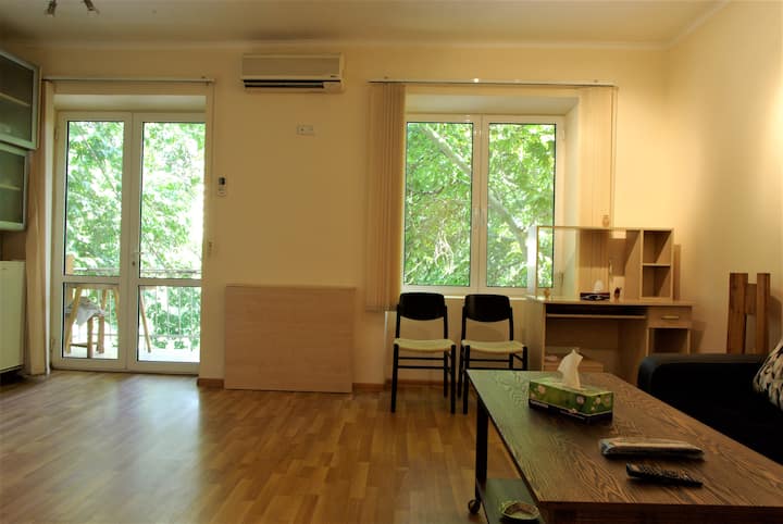 Vd Apartment 2- 200 M From The Republic Square - Ereván