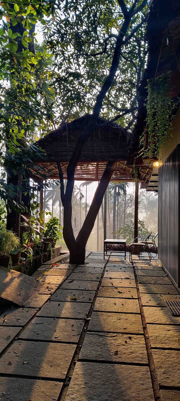 Ann’s Villa @ Davis Farm House - Marayoor