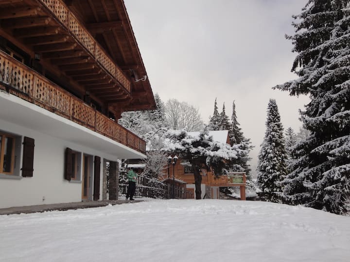 A Swiss Alpin Apartment Ideal For Ski & Hike - レザン