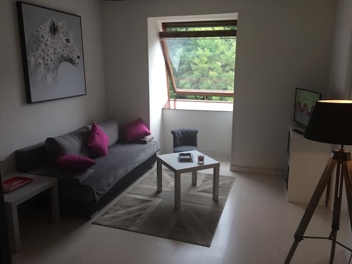 Trouville Sur Mer : Charmant Appartement - Plage de Trouville-sur-Mer