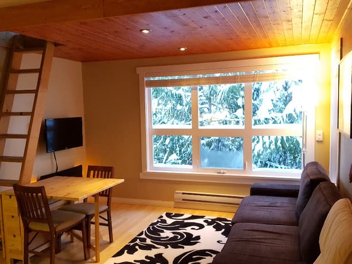 Cozy 1 Bdrm Whistler Creekside Condo - Whistler