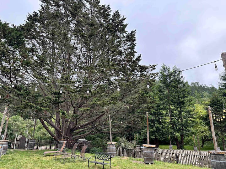 Venture Retreat Experience - Pescadero, CA