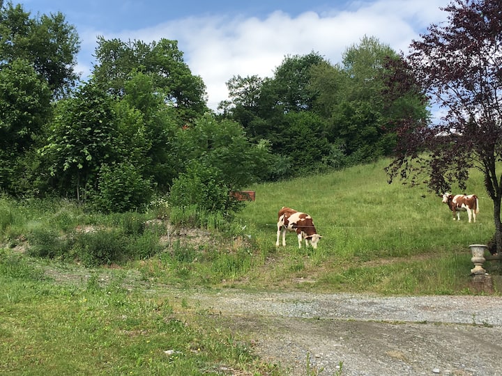 Studio  Le Cocon - Sallanches