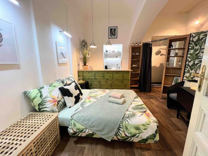 Fun Tiki Vibe Apartment / Charles Bridge / Netflix - براغ