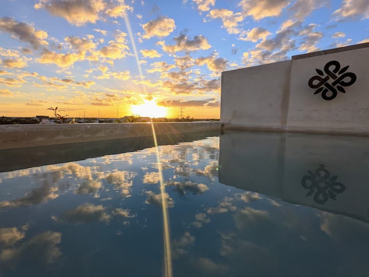 Iggy's Condo - Spacious, Close To 'La Quinta' - Playa del Carmen