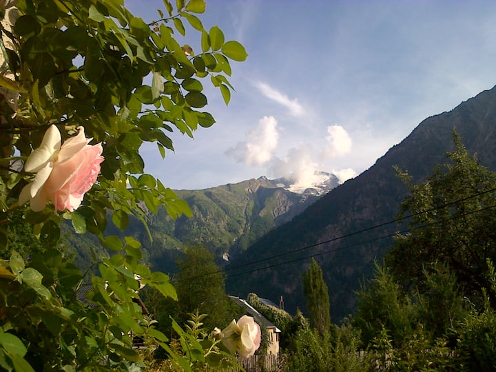 Chalet "Les Roses De Jean"- Confort, Vue Et Jardin - L'Alpe d'Huez