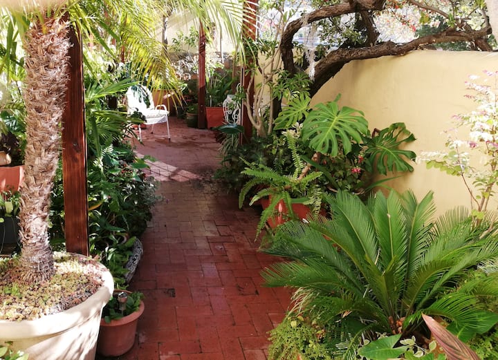 Large  2 Bedroom Apartment, Private Garden/patio - Cidade do Cabo