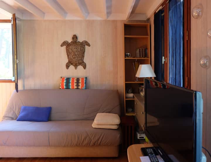 Chalet Cosy Entre Pins Et Océan - Plage Le Porge Océan