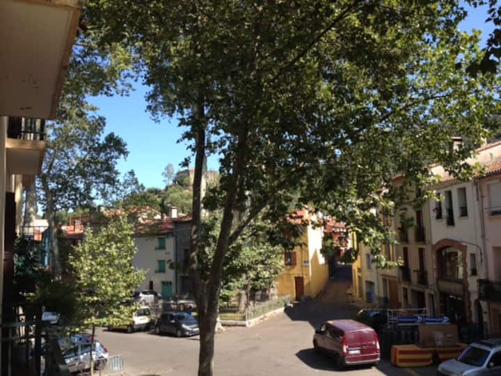 A L'ombre Des Platanes (+ Parking Sécurisé) - Céret