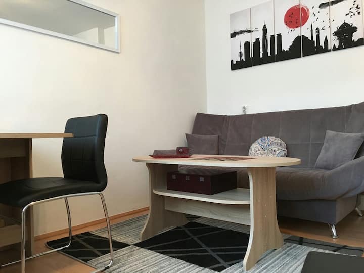 Cosy One Bedroom Apartment In The City Centre! - Sarajevo