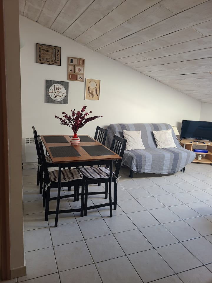 Joli T2,calme,clim, Hyper Centre Avec Garage - Collioure