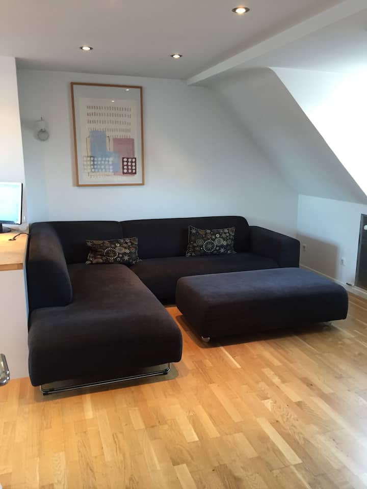Helle 2 Raum Studiowohnung In Komfortablen Altbau - Cologne