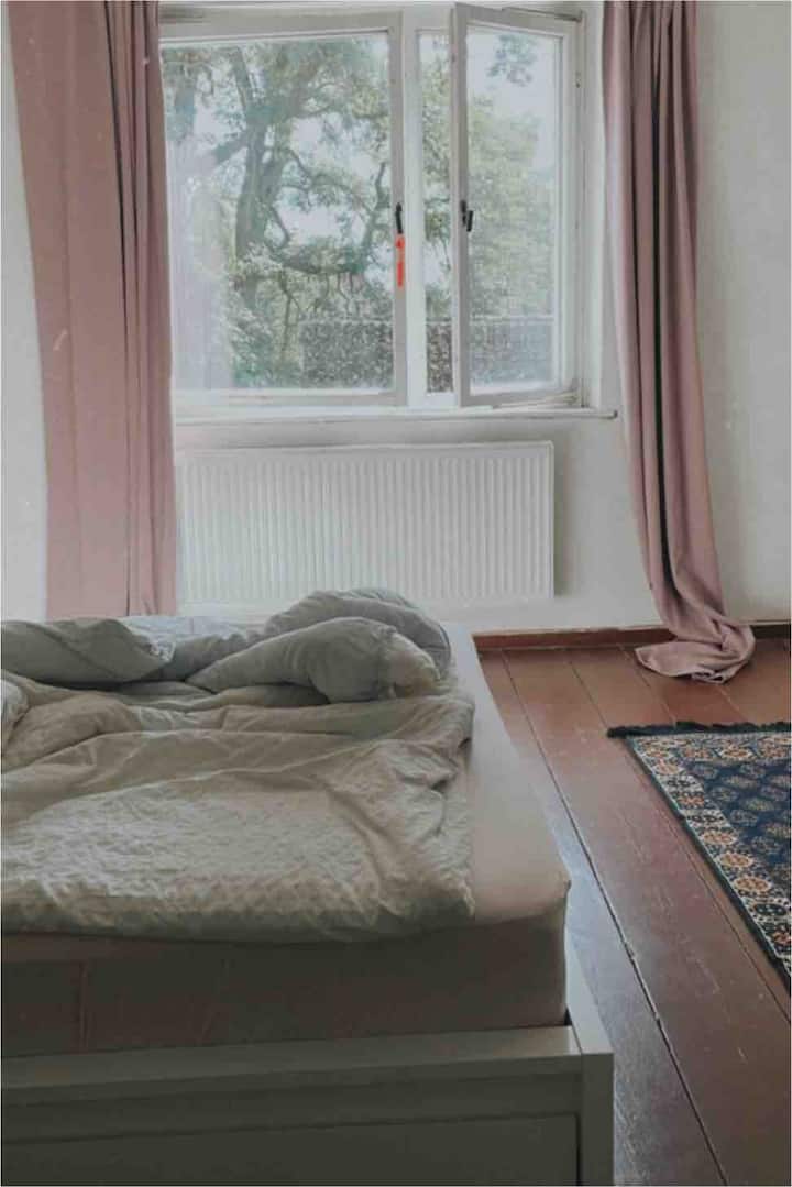 Alte Schule In Der Uckermark - Gartz (Oder)
