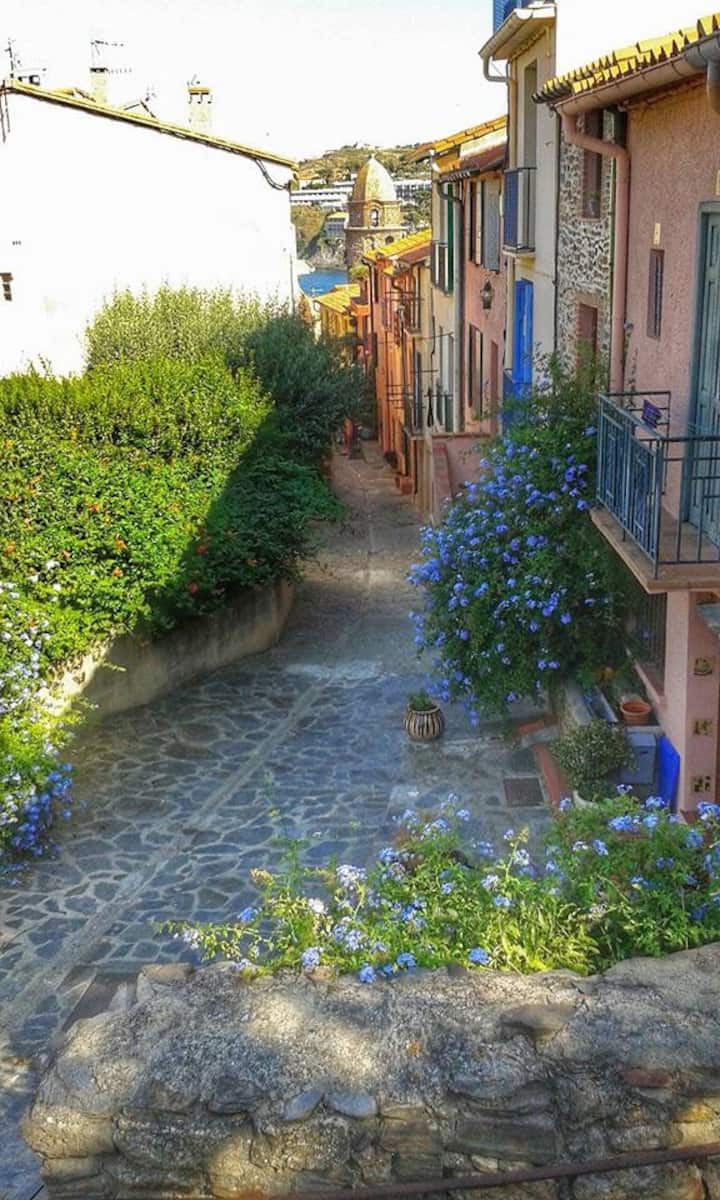 Jolie Maison De Pêcheur à Collioure - Collioure