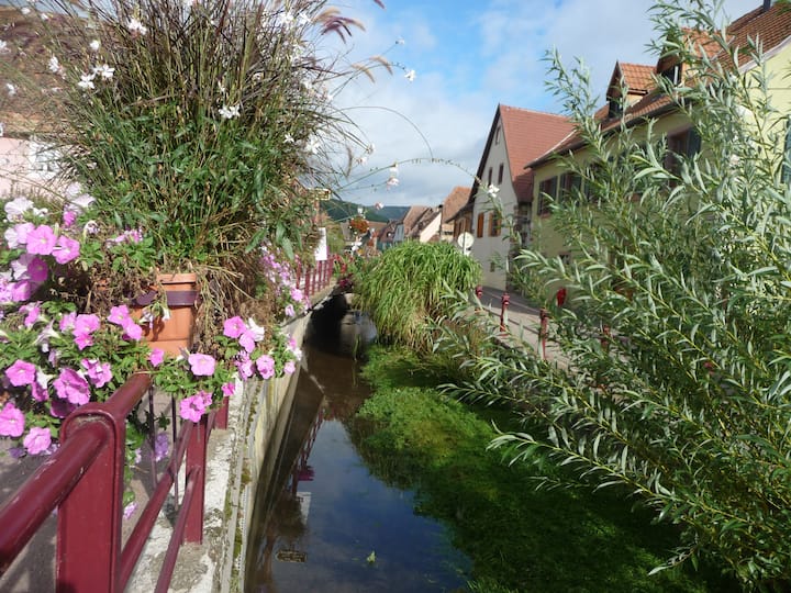 Petite éTape Sur La Route Des Vins - Rouffach