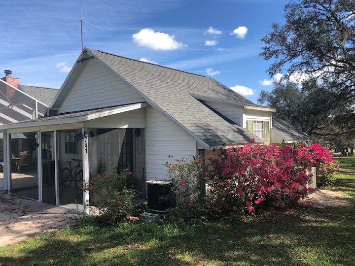 Flying Palomino (Next To The Villages) - The Villages, FL
