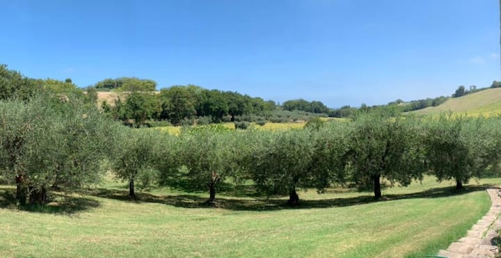 Maison Sur Mer Parmi Les Oliviers - Pesaro