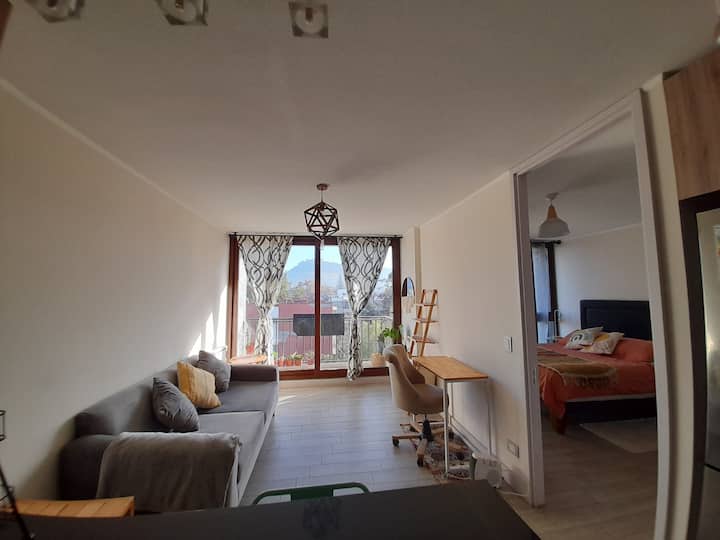 Encantador Lugar Para Estar En Santiago - Providencia