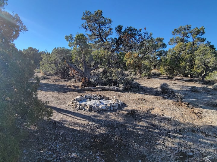 Camping Spot Van Available - United States