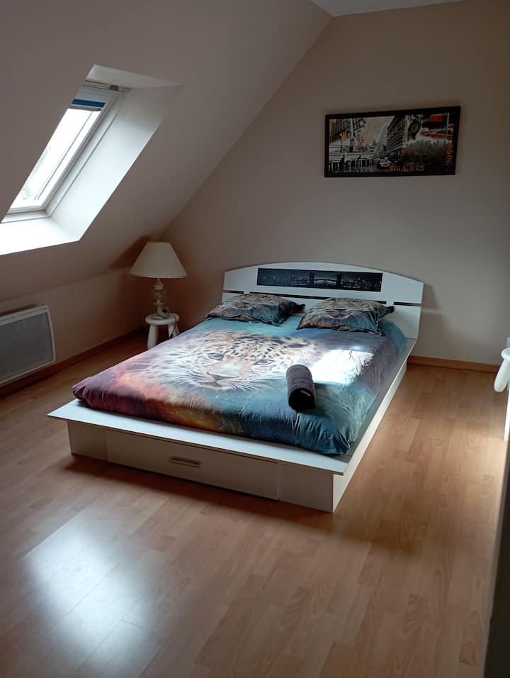Chez Paco Et Pascale 
Chambre Spacieuse De 17m2 - Combourg