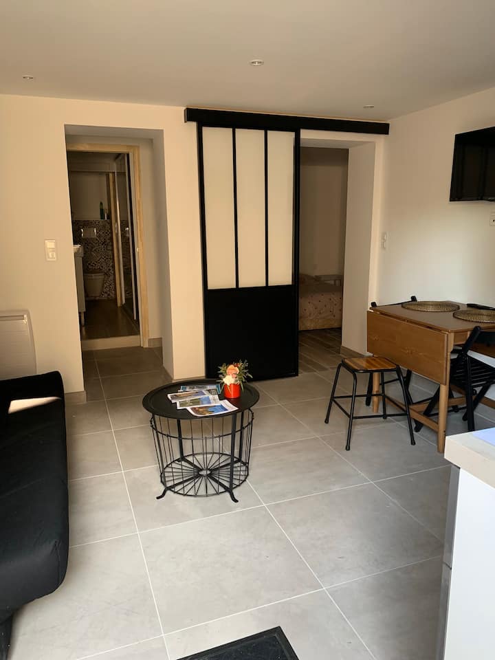 Studio Avec Cour Près Châteaux Et Bastide - Carcassonne