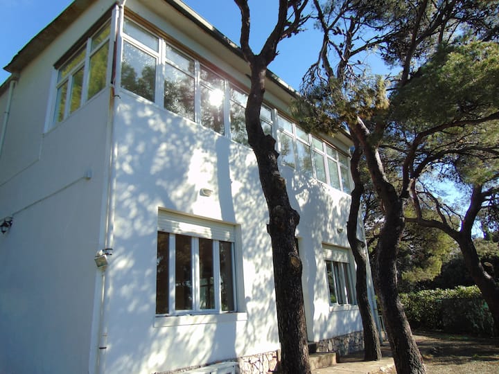 Villa Immersa Nel Verde Del Bosco - Livorno