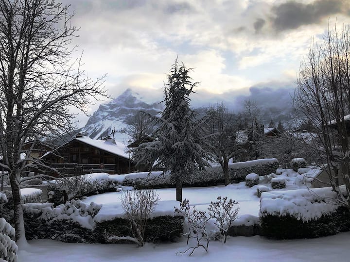 Chaleureux Appartement Dans Chalet - Flaine