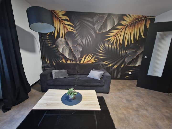 Appartement Mulhouse - Mulhouse