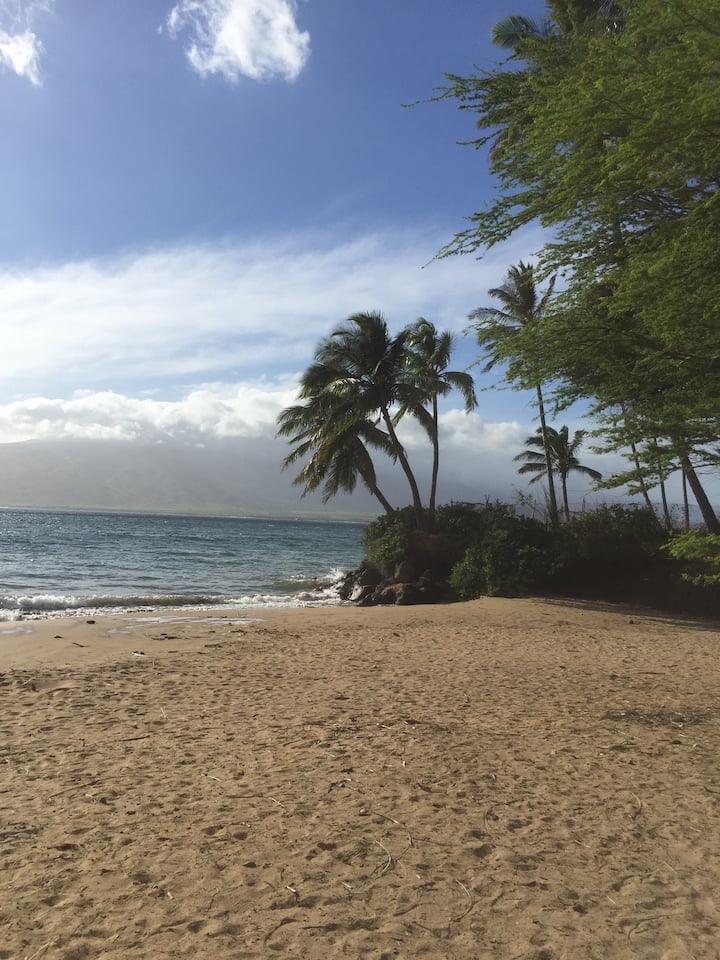 Summer $Aving$ Beach, Turtles, Maui Awaits You! - キヘイ, HI