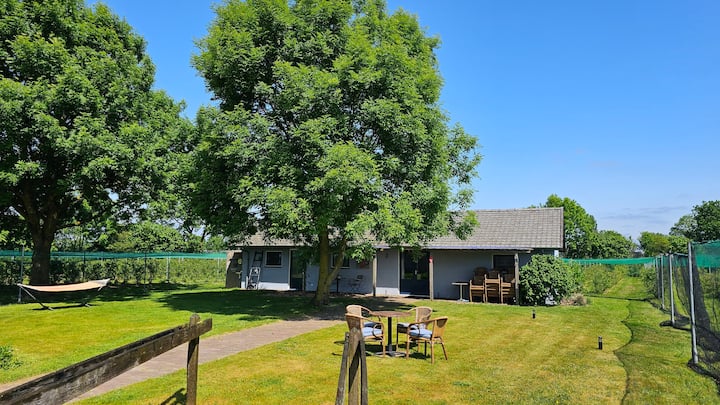 Blueberryfields Otterlo - Lunteren