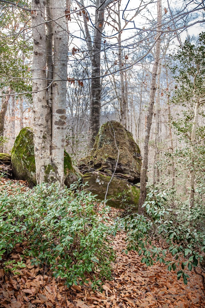 Private 5 Bedroom W/pool & Hot Tub - Stafford, VA