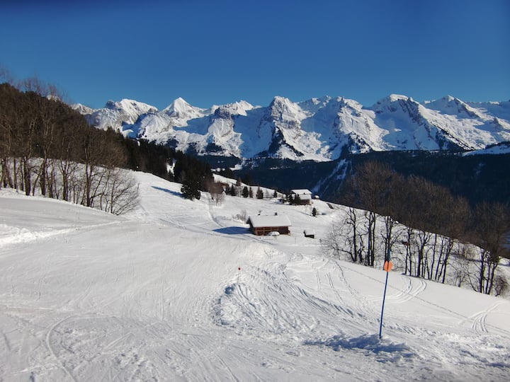 Chalet En Pleine Nature 4-10 Personnes Vue Superbe - Le Grand-Bornand