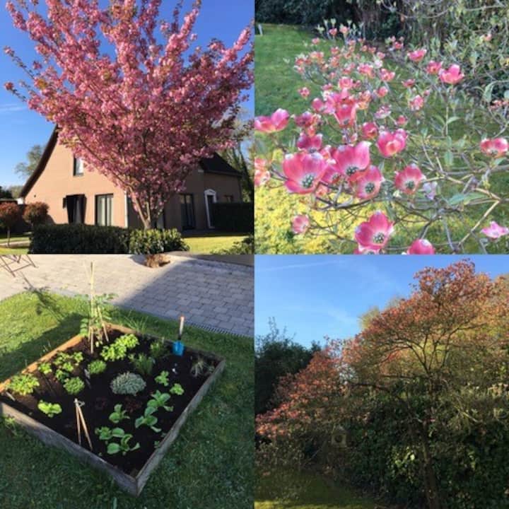 Hasseltse Gezinswoning In Het Groen! - Hasselt
