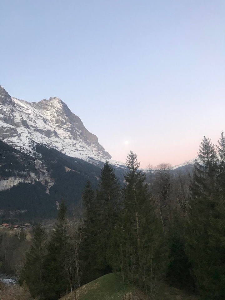 Beautiful Eiger View Chalet-apartment - Grindelwald