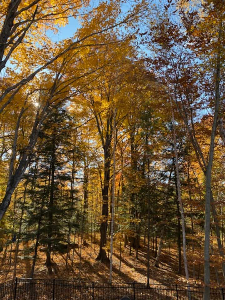Forest Retreat... Need We Say More? - Baileys Harbor, WI