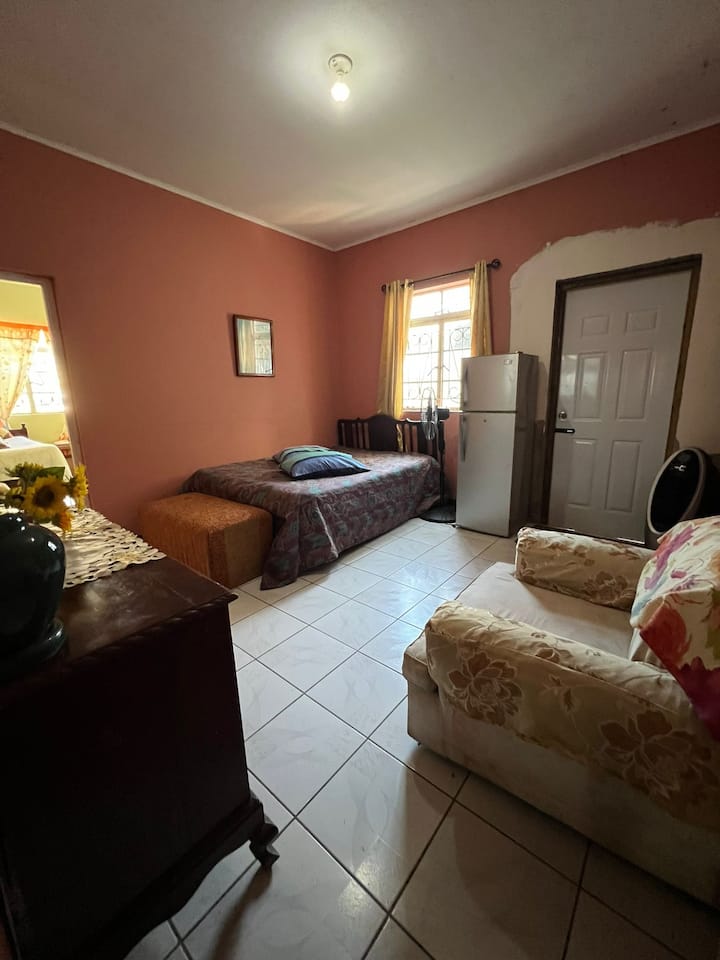 Cozy 2 Bed Kingston Get Away! - Kingston