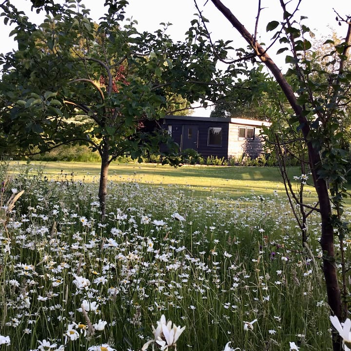 Bransgore Holiday Rentals & Homes - England, United Kingdom | Airbnb